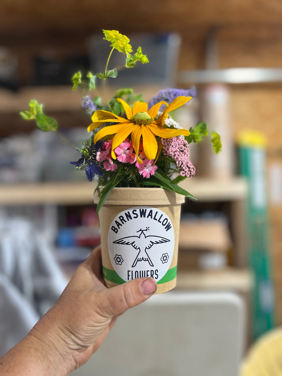 Mini 16 Oz. Compostable Vase - 25 Count – Barnswallow Flowers